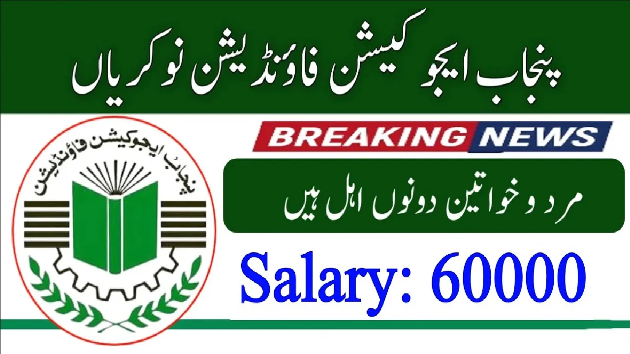 Punjab Education Foundation PEF Jobs 2025 Online Apply - Rozigo.com