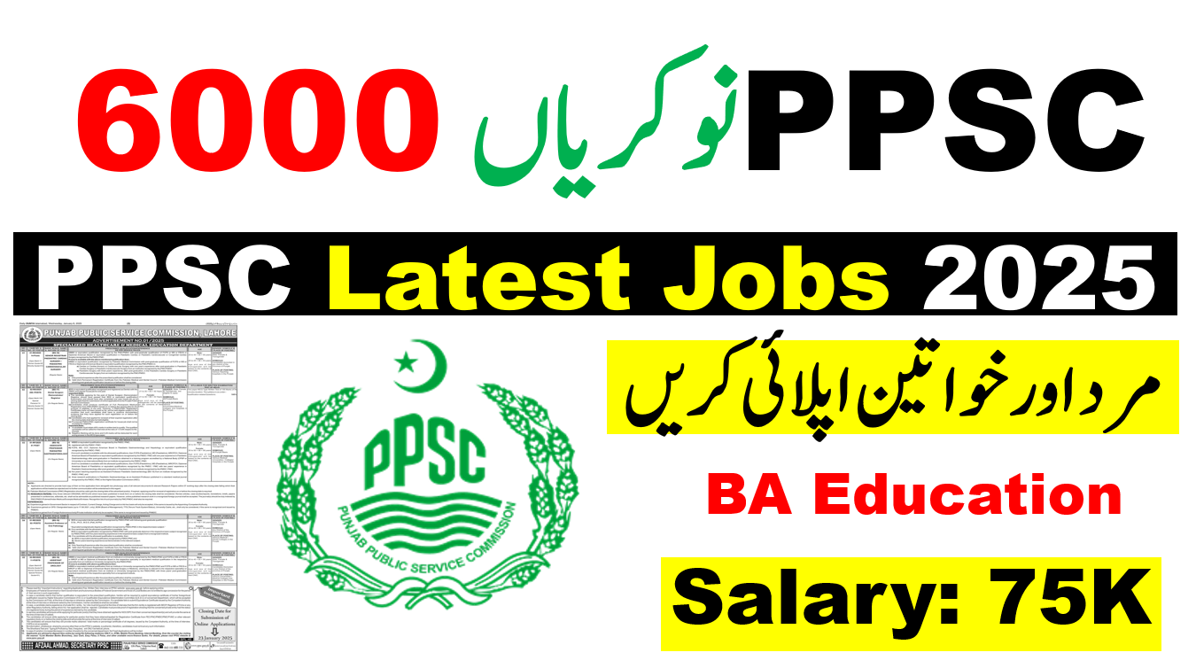PPSC Jobs Advertisement No 02/2025 Apply Online - Rozigo.com