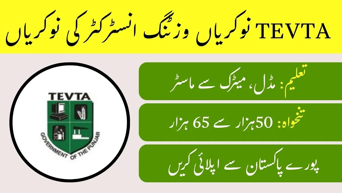 TEVTA Information Technology Instructor Jobs 2025 Apply Online - Rozigo.com