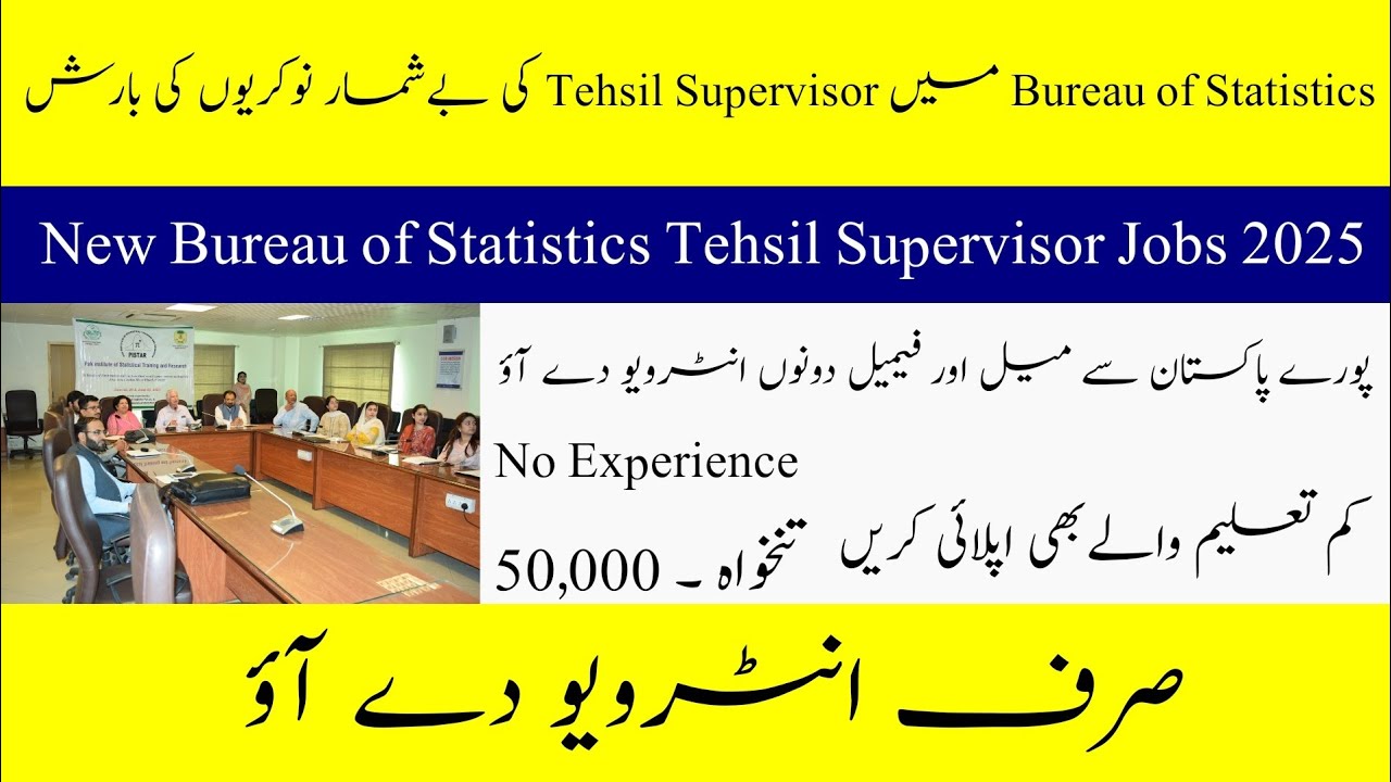 Punjab Bureau of Statistics Jobs 2025 Apply Online - Rozigo.com
